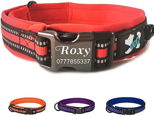Personalised Dog Collar With Metal Buckle, Customized Pet Collars with ...