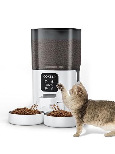 Top 10 Multi Cat Automatic Feeder of 2022 - Katynel