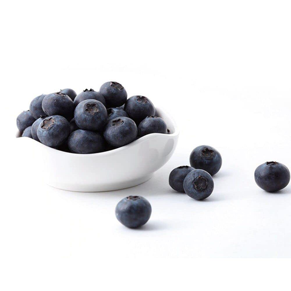 Amazon.com: 20 Pcs Artificial Blueberries Plastic Fake Blue Berry ...