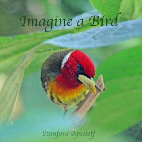 Imagine a Bird: Apseloff, Stanford: 9781936772278: Amazon.com: Books