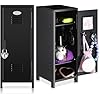 Amazon.com: Vercraft 2 Pcs Mini Locker with Lock and 2 Keys 10.8 Inch ...
