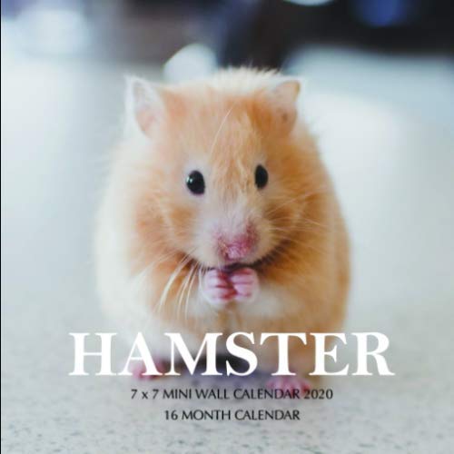 Hamster 7 x 7 Mini Wall Calendar 2020: 16 Month Calendar : Print ...