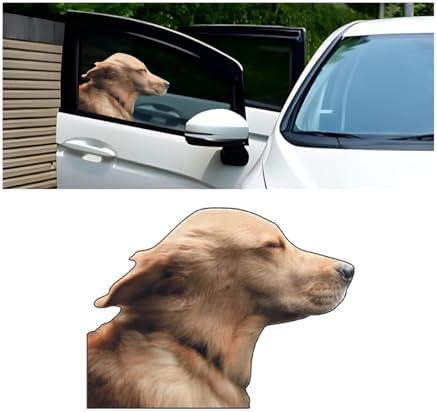 Amazon.com: BESULEN Car Side Window Sticker, Right Side Golden ...