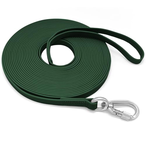 Dog Long Line – The 15 best products compared - Wild Explained
