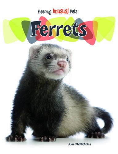 Keeping Unusual Pets Pack A of 6: Handford, Tom: 9780431125589: Amazon ...