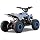 Funbikes Toxic Blue Kids Mini Quad – 50cc Petrol | Off-Road Children’s ...