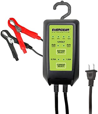 Amazon.com: Viking 4 Amp Fully Automatic Microprocessor-Controlled ...