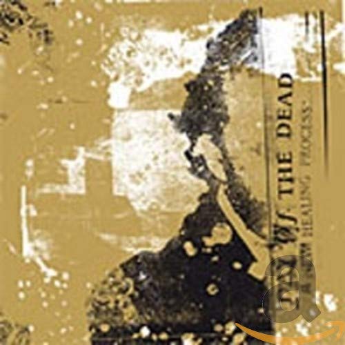 Day of the Dead - New Healing Process - Amazon.com Music