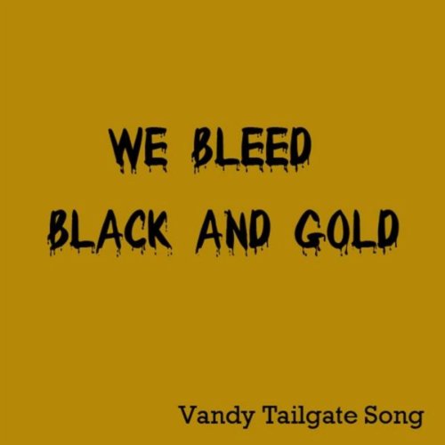 Play We Bleed Black and Gold: Vandy Tailgate Song by All American Tailgaters on Amazon Music