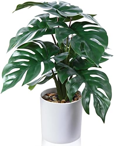 Amazon.com: GreenBoxx Artificial Monstera Plant 24" White Planter ...