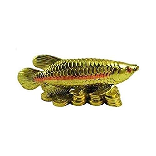 Buy Amba collection Arowana Fish On Coin Online at Low Prices in India ...