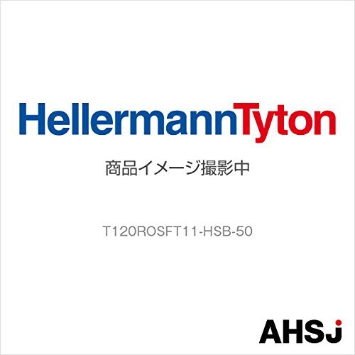 Amazon.co.jp: ヘラマンタイトン T120ROSFT11-HSB-50 (1袋): DIY・工具・ガーデン