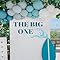 Amazon.com: The Big One Sign Decal - Wave Themed 1st/First Birthday ...