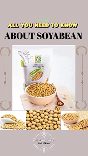 ALL YOU NEED TO KNOW ABOUT SOYABEAN : A guide to soyabean preparation ...