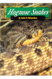 Hognose Snakes: Richardson, Adele: 9780736821360: Amazon.com: Books