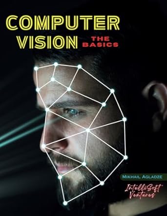 Computer Vision: The Basics: Agladze, Mikhail: 9798329747522: Amazon ...