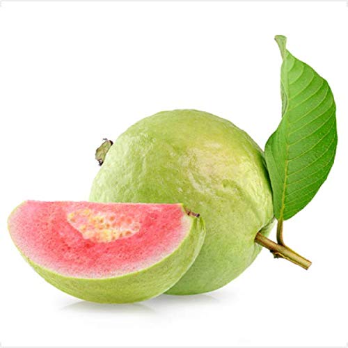 Fresh Produce Guava Red Indian Loose, 500 gm : Amazon.in: Grocery ...