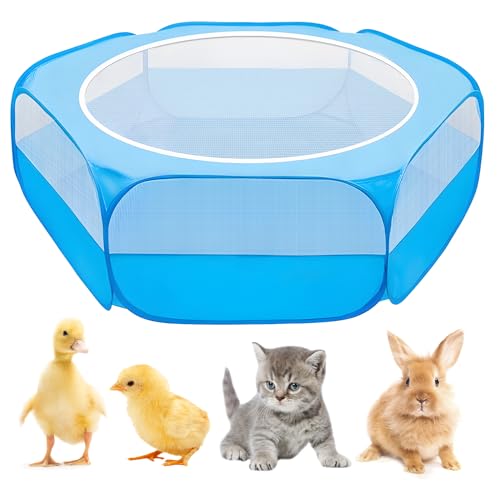 How Long Does It Take for Pigs to Give Birth? | All Things Backyard