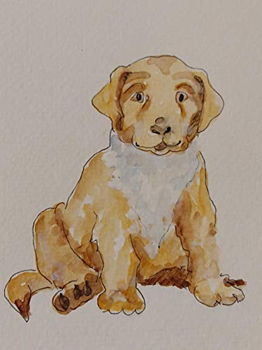 Pip the Puppy: Pip's walk. eBook : HEGARTY, JOHN, Lee, Biddy: Amazon.co ...