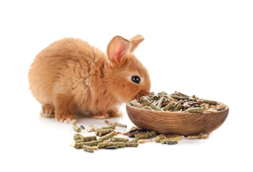 Buy R.S. Birds & Grains | Pellet Adult Rabbit Foods, Bunny Feed, (1KG ...