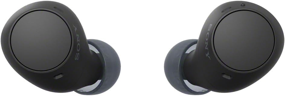 Sony WF-C510 Wireless Earbuds - Compact and Light Bluetooth Earbuds ...