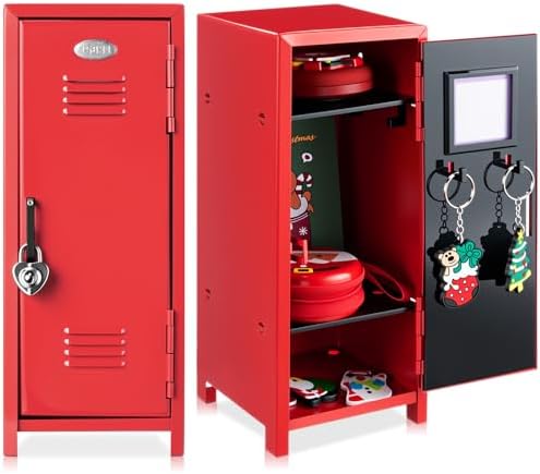 Amazon.com: Vercraft 2 Pcs Mini Metal Locker Storage with Lock and 2 ...