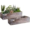 Amazon.com : MyGift Brown Solid Wood Planter Window Box, Indoor Flower ...
