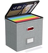 Oterri Zipper File Box with Lid, Letter Size File Organizer with Mesh ...