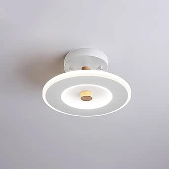 ModernChandelier , Indoor LED Flush Mount Ceiling Light Nordic Metal ...
