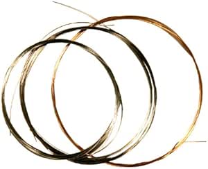 Amazon.com: Sitar String Set, Professional, 6-String : Musical Instruments