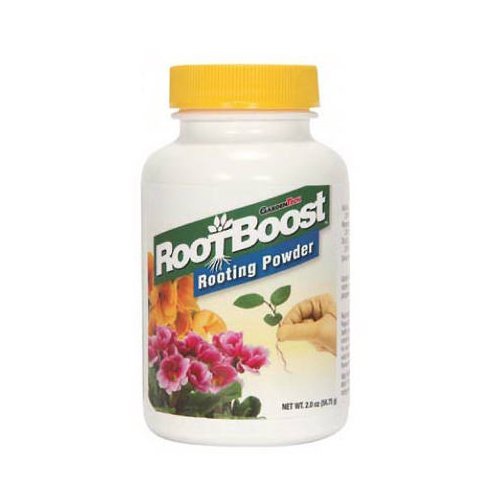 Amazon.com: Bontone Rooting Powder : Beauty & Personal Care