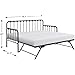 Amazon.com: Lexicon Constance Metal Daybed with Trundle in Dark Bronze ...