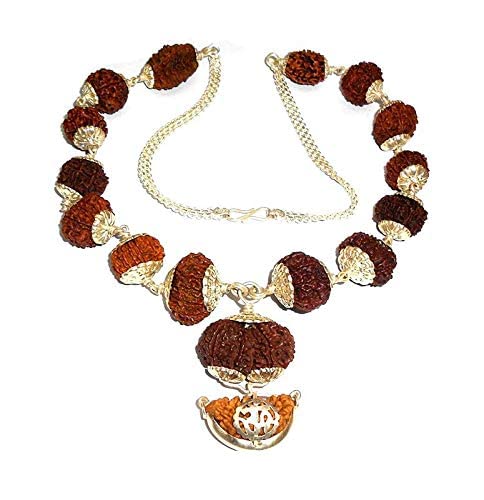 Seven-Hills 1 to 21 Mukhi Rudraksha Original Certified Nepali Beads ...