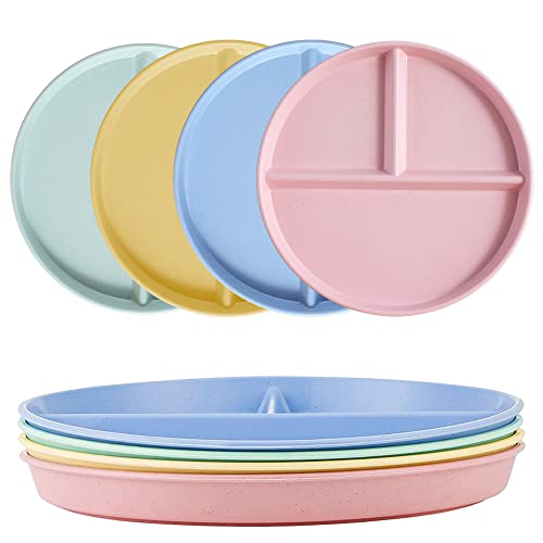 Plato con divisiones para dieta: la solución perfecta - Mi Hogar