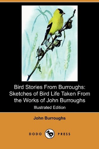 Bird Stories from Burroughs: Sketches of Bird Life Taken from the Works ...