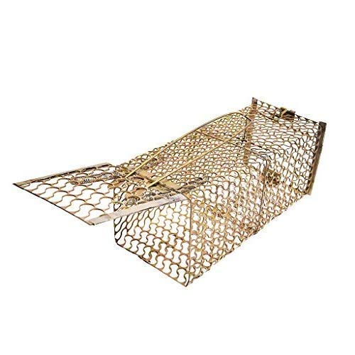 Ambe Jee Rat, Rodent, Mouse Trap/Catcher Iron Big Size - Ultimate ...