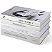 Amazon.com - 4 Pack Faux Books for Decoration, Ediactcyl Modern Fashion ...