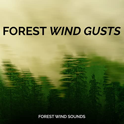 Amazon.com: Forest Wind Gusts : Forest Wind Sounds: Digital Music