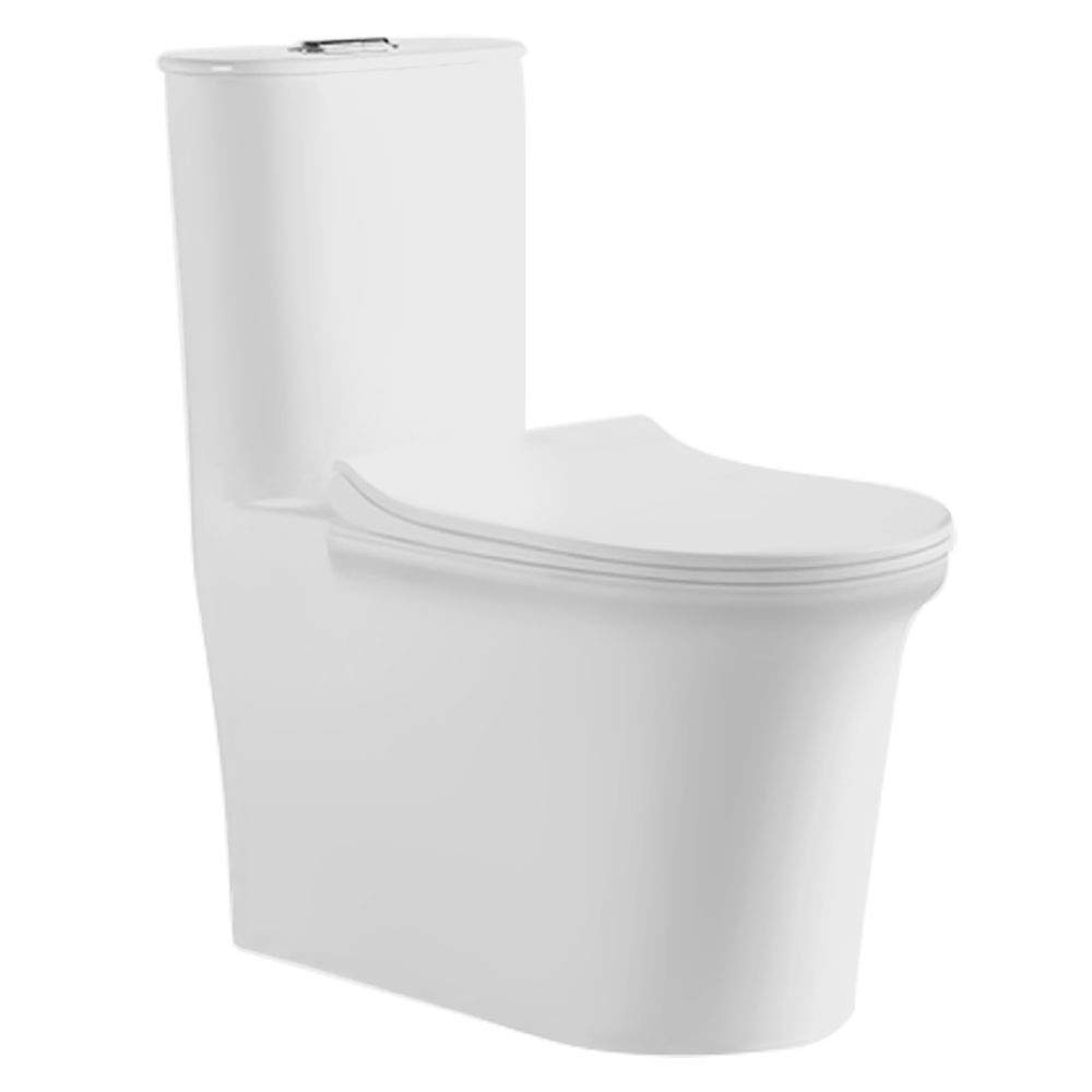 Sani Canada 942 One Piece Toilet with Dual Flush, One-Piece Toilets ...