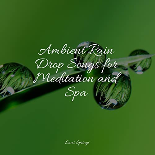 Play Ambient Rain Drop Songs for Meditation and Spa by Sleep Meditation ...