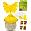 Amazon.com : Fruit Fly Traps for Indoors - Sticky Traps for House ...