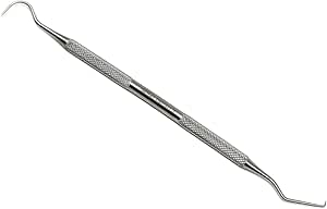 Amazon.com: Oral Care Professional Dental Tool, Stainless Steel Plaque ...