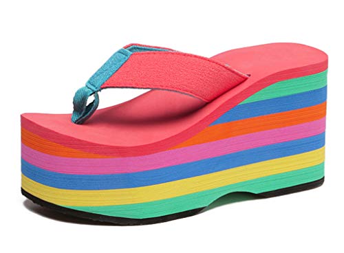 Sarah Chio's Amazon Page