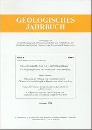 Chancen und Risiken der Rohstoffgewinnung. Fallbeispiele primärer und ...