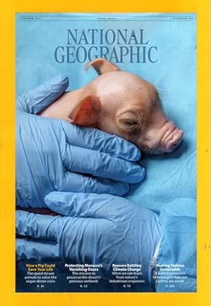 Amazon.in: Buy NationalGeographic June 2025 : Xenotransplants Book ...