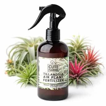 Cute Farms Tillandsia Air Plant Fertilizer | Gentle Weekly Use Formula ...