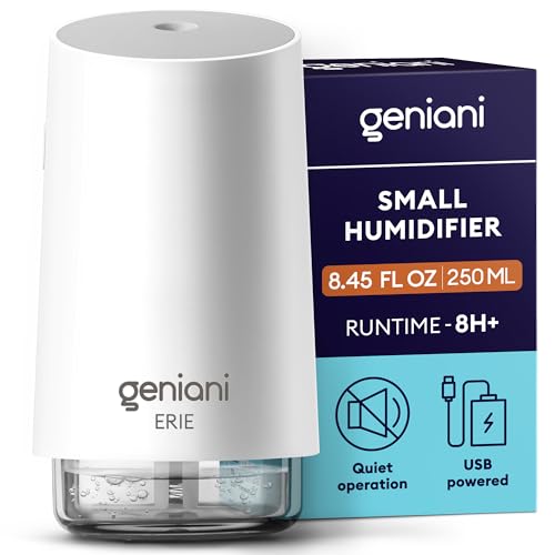 Best Portable USB Mini Humidifiers