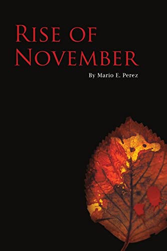 Book review of Rise of November - Readers' Favorite: Book Reviews and ...