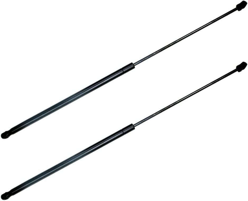 Amazon.com: 2 Pieces (Set) Tuff Support Rear Liftgate Lift Supports ...