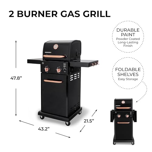Permasteel 2-Burner Gas Grill, Foldable Side Tables, Grilling Tool ...